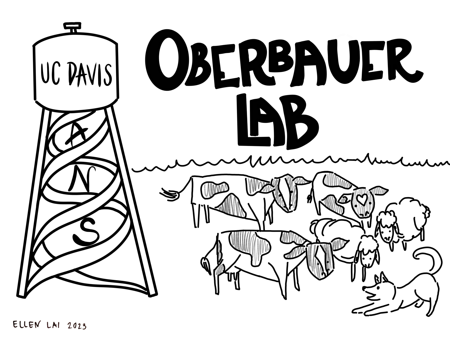Oberbauer Lab – Department of Animal Science UC Davis